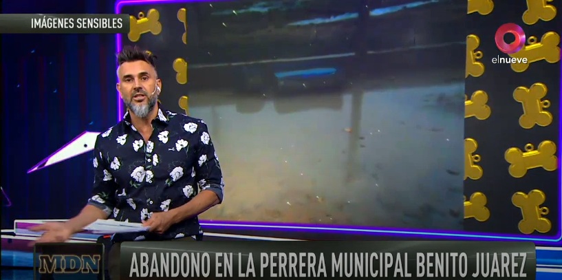 El Municipio de Benito Juárez intimó al conductor Leonardo Montero a ...