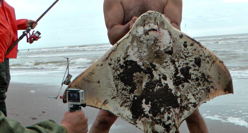 Pescó un chucho de 19 kilos y se llevó más de medio millón de pesos de ...