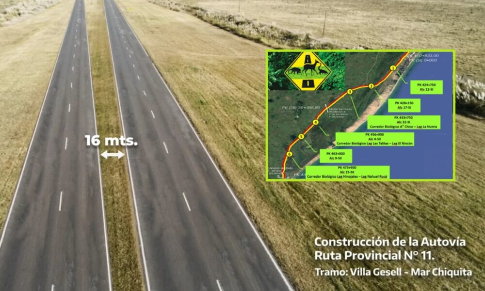 Comienza la obra de la Autovía de la Ruta 11: cómo será este “Corredor ...